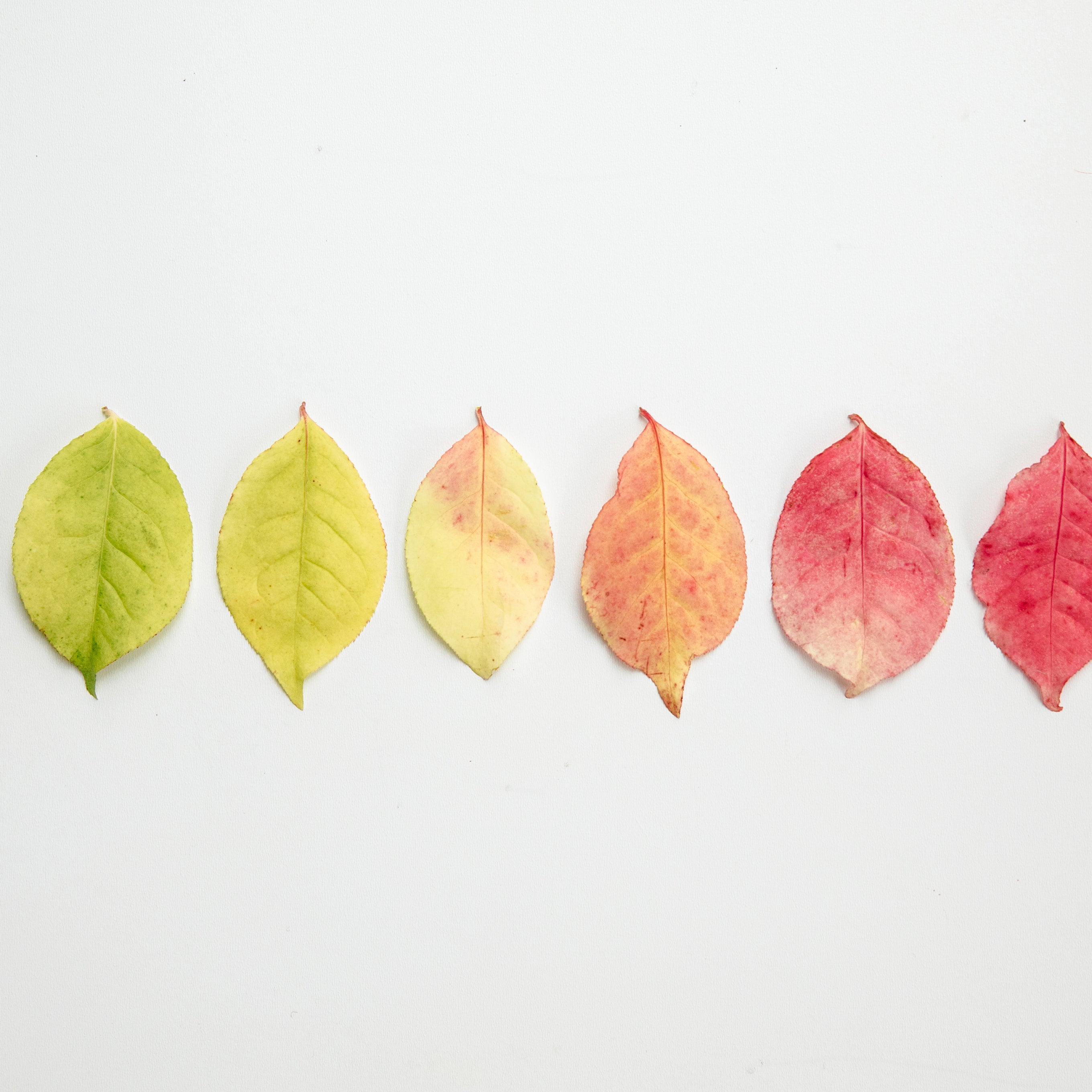 Mooch London is an award-winning, independent gift and card store ...