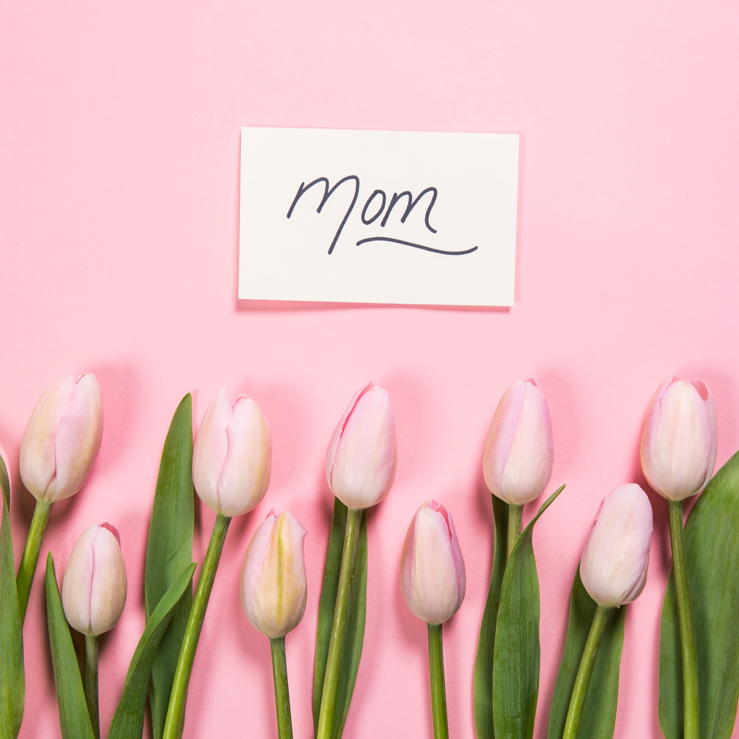 Mooch London is an award-winning, independent gift and card store ...